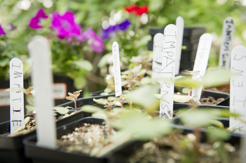 End-of-Year Reflection by Dr. Deborah Skolnick-Einhorn - Milton ...