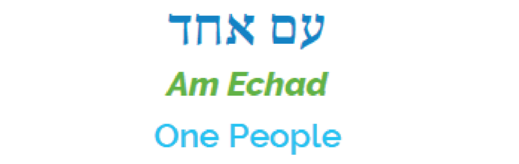 Am Echad - Milton Gottesman Jewish Day School