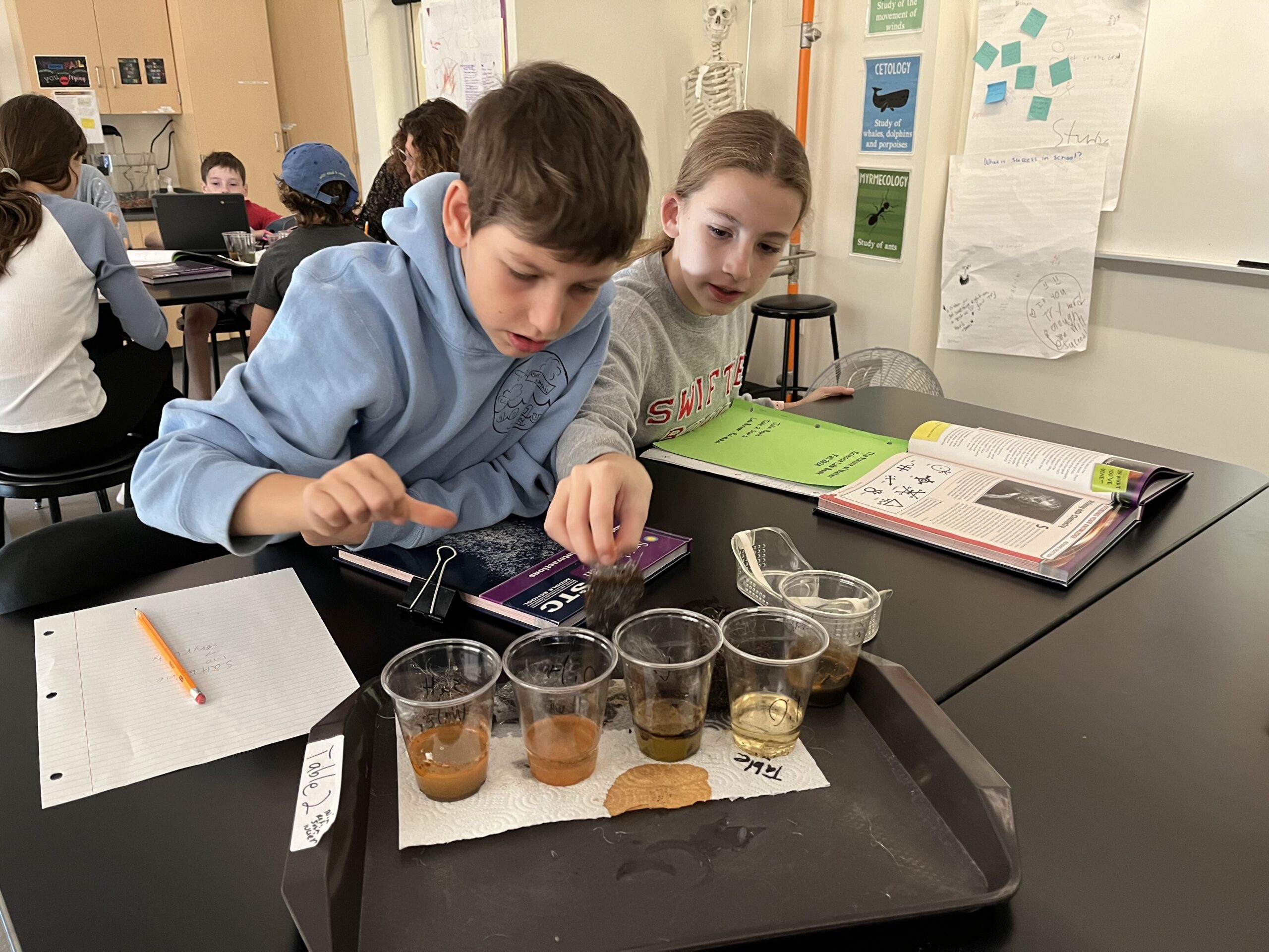 Using Science to Solve Problems: Engineering Across the Curriculum ...